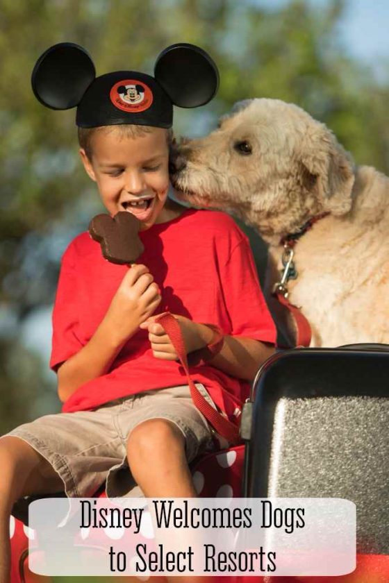 Walt Disney World Welcomes Dogs to Select Resorts - The Mom Maven